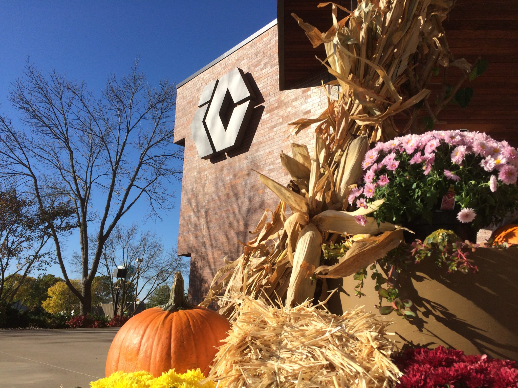 IC System: Upholding Excellence with Our A+ BBB Rating - IC System